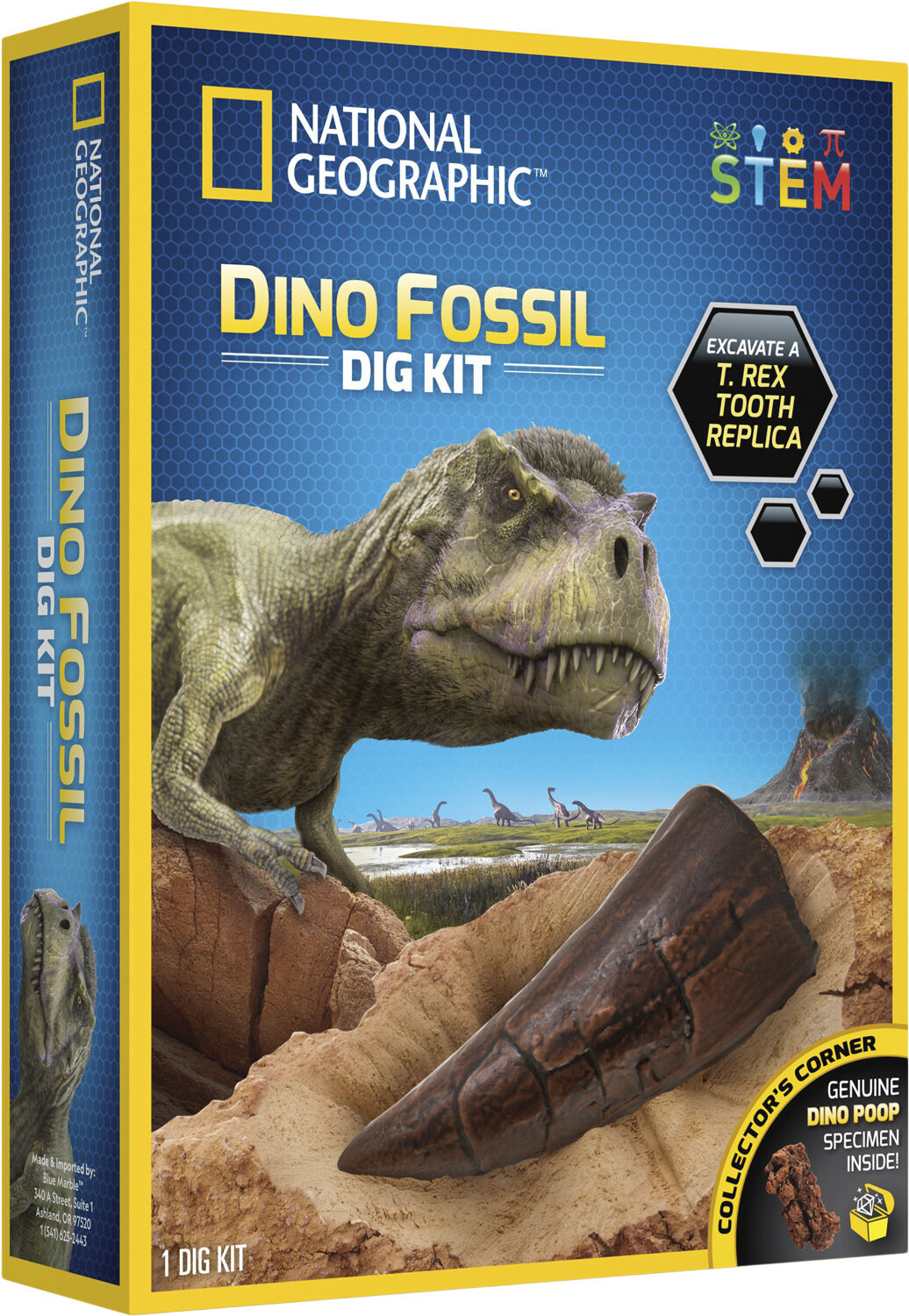 NG Dino fossil dig set