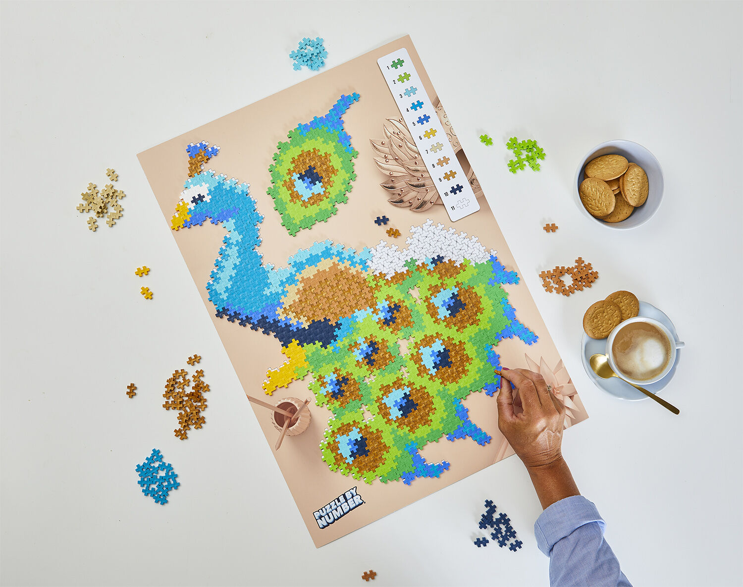 Plus-Plus Puzzle By Numbe